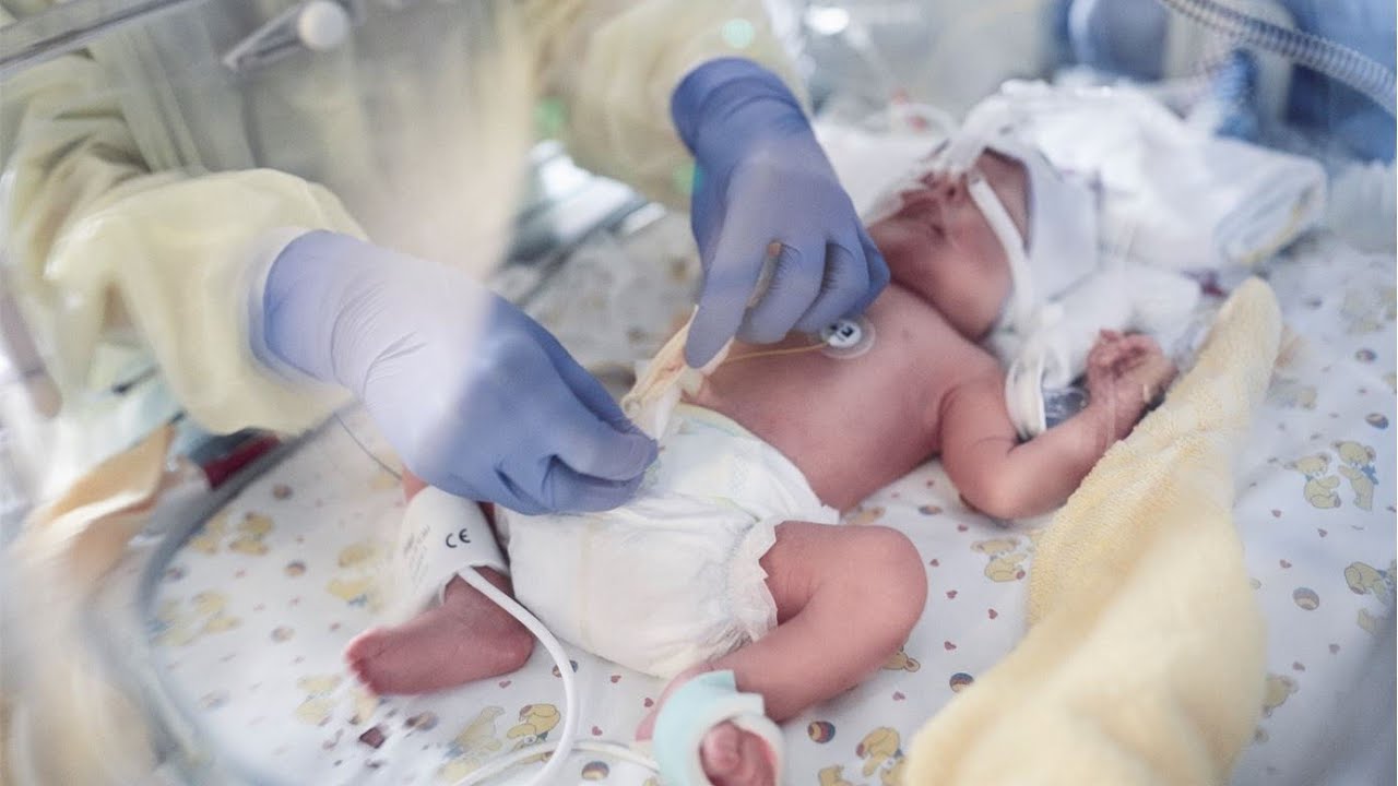 Module 6: Renal System - YouTube