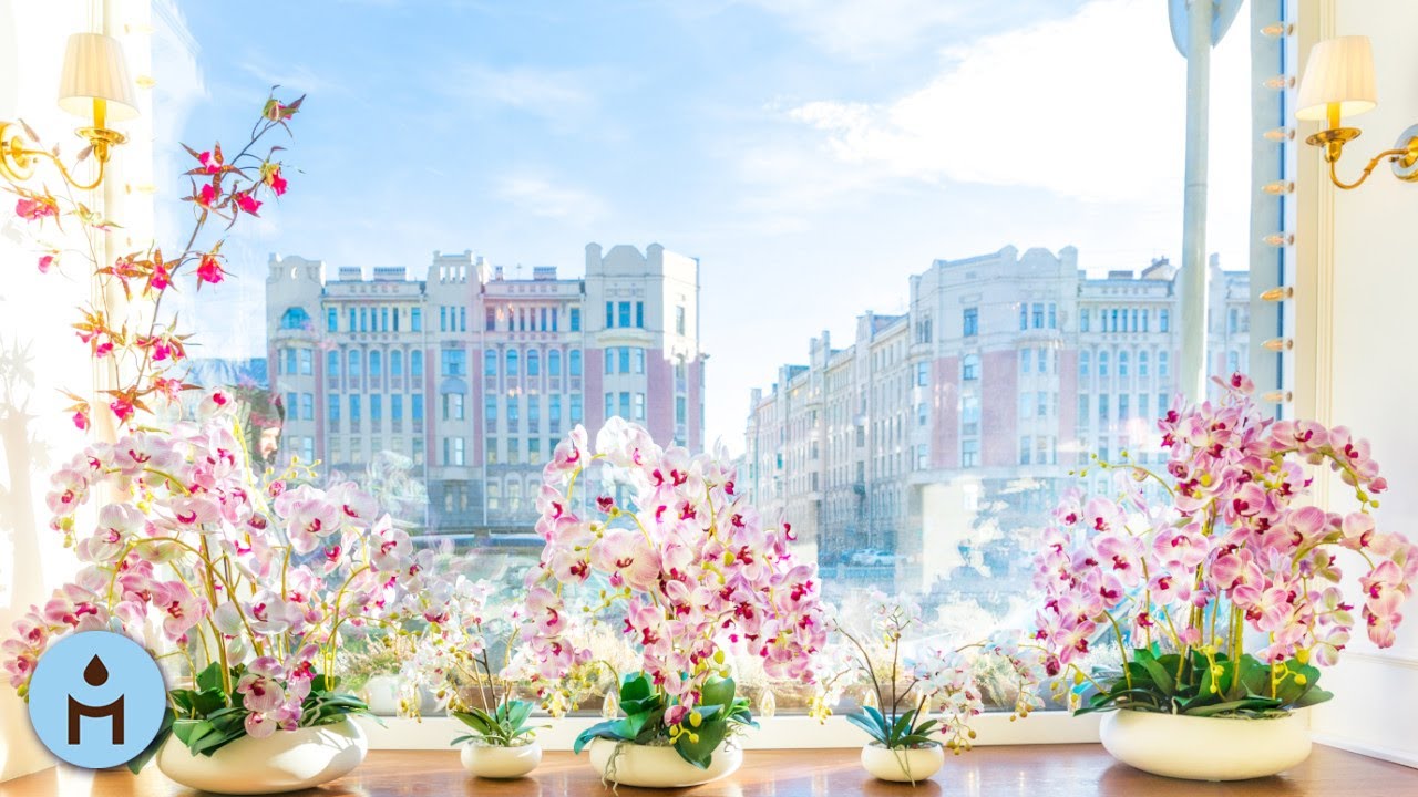 SPRING EQUINOX 2021: Relaxing Instrumental Music with Sounds of Nature ...