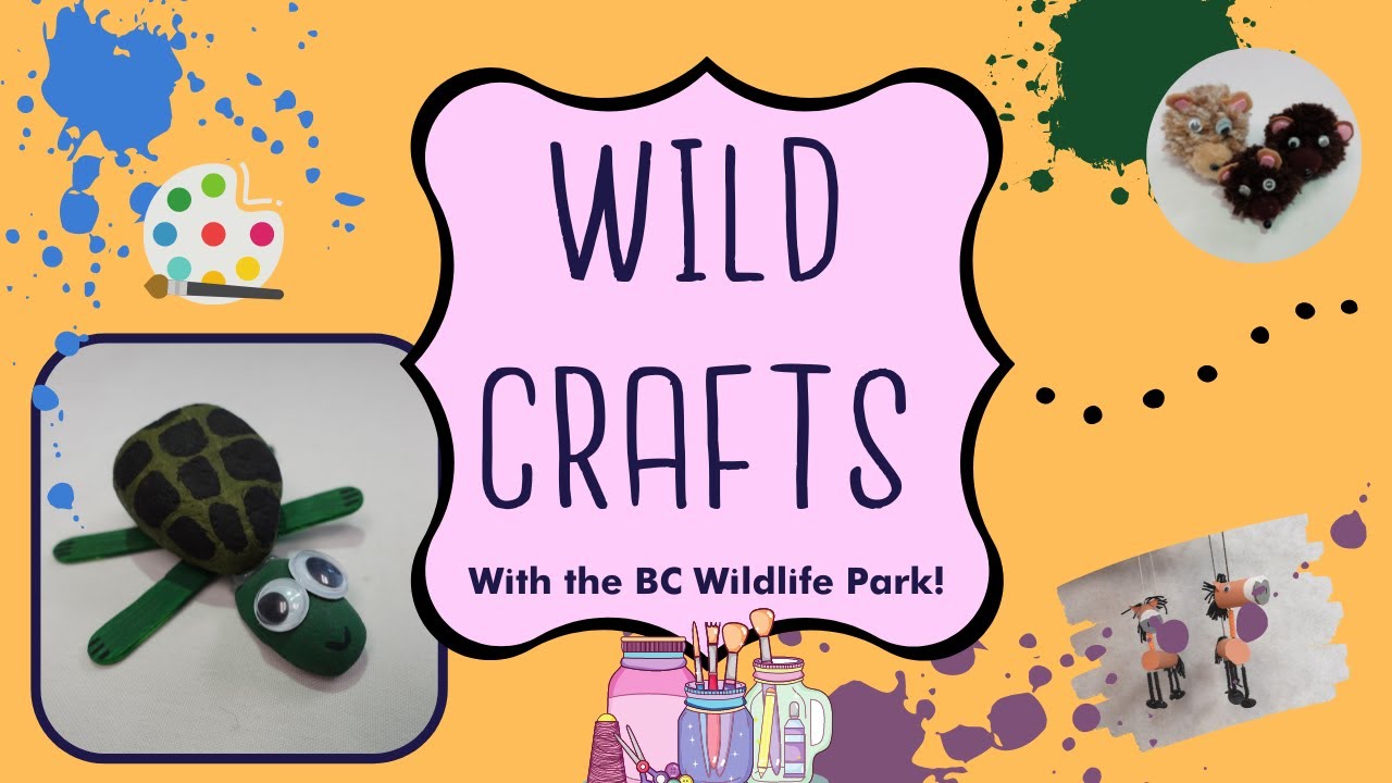 Make A Pet Rock Turtle! Wild Crafts with the Wildlife Park - YouTube