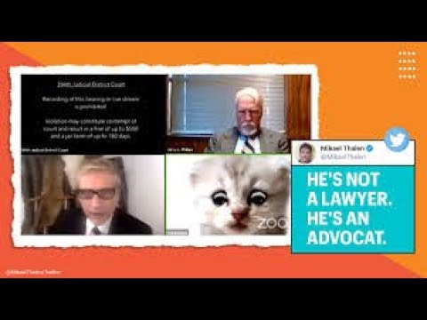 Lawyer Who Couldn’t Turn Off Cat Filter In Zoom ‘I Don’t Know How It ...