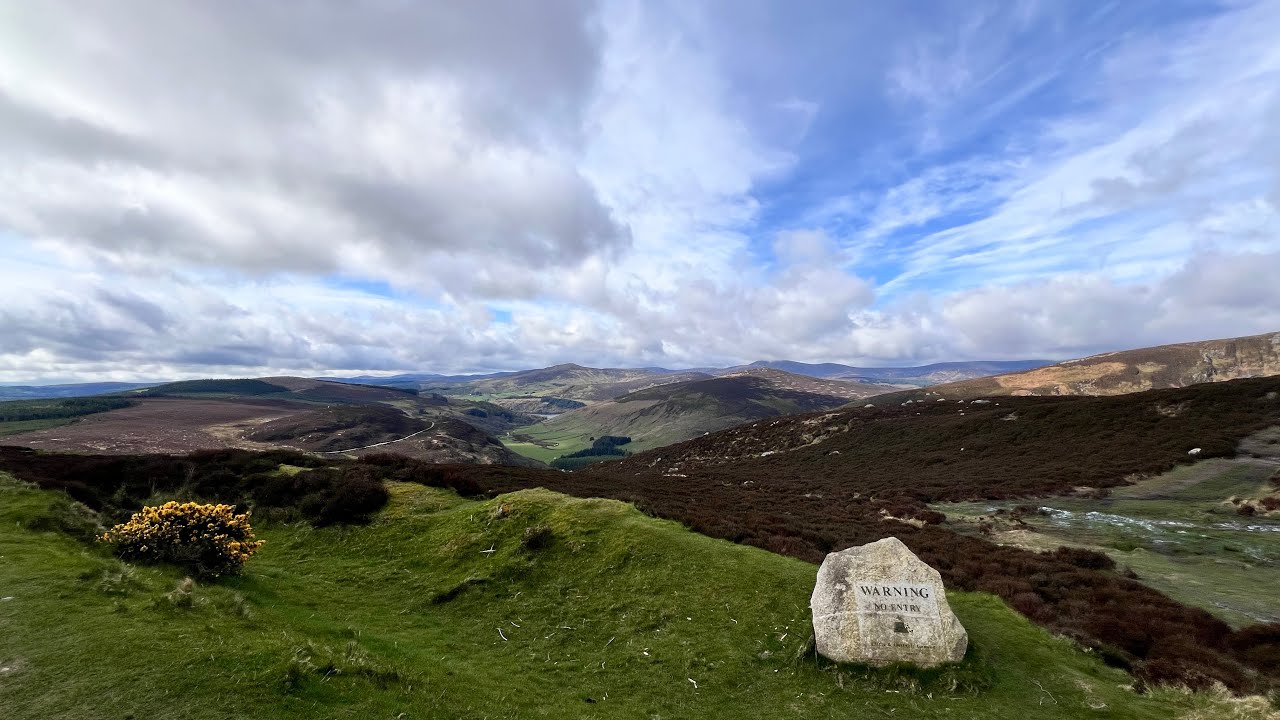 Irish Traditional Music at The Cobblestone Pub Dublin - YouTube