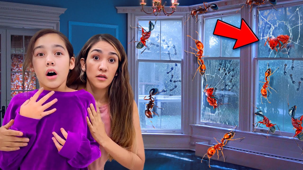 FIRE ANTS Are Taking Over Our New MANSION! *We're in Big Trouble ...