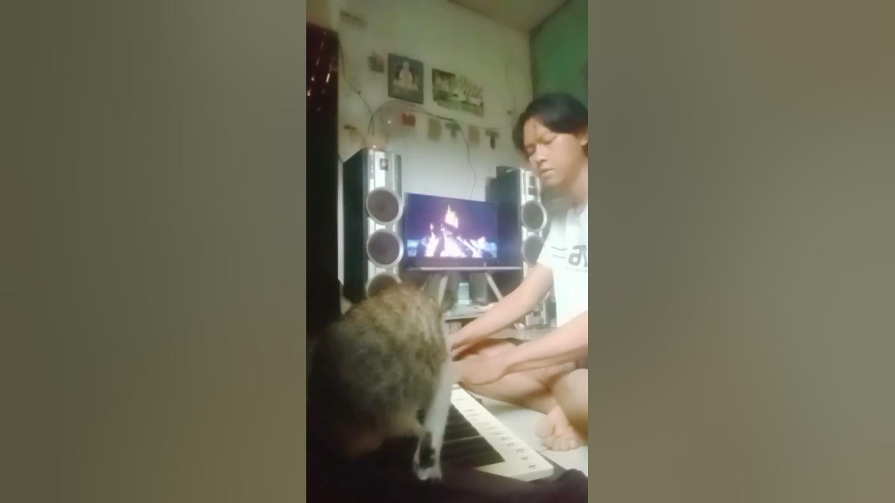 Tereliye cover piano - YouTube