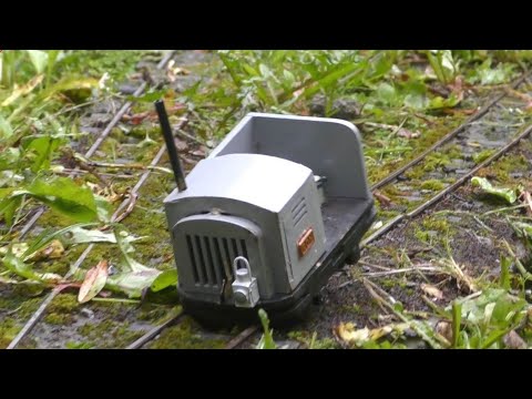 Ron & the Mad Scientist | The Misadventures of Ron S2 E1 - YouTube