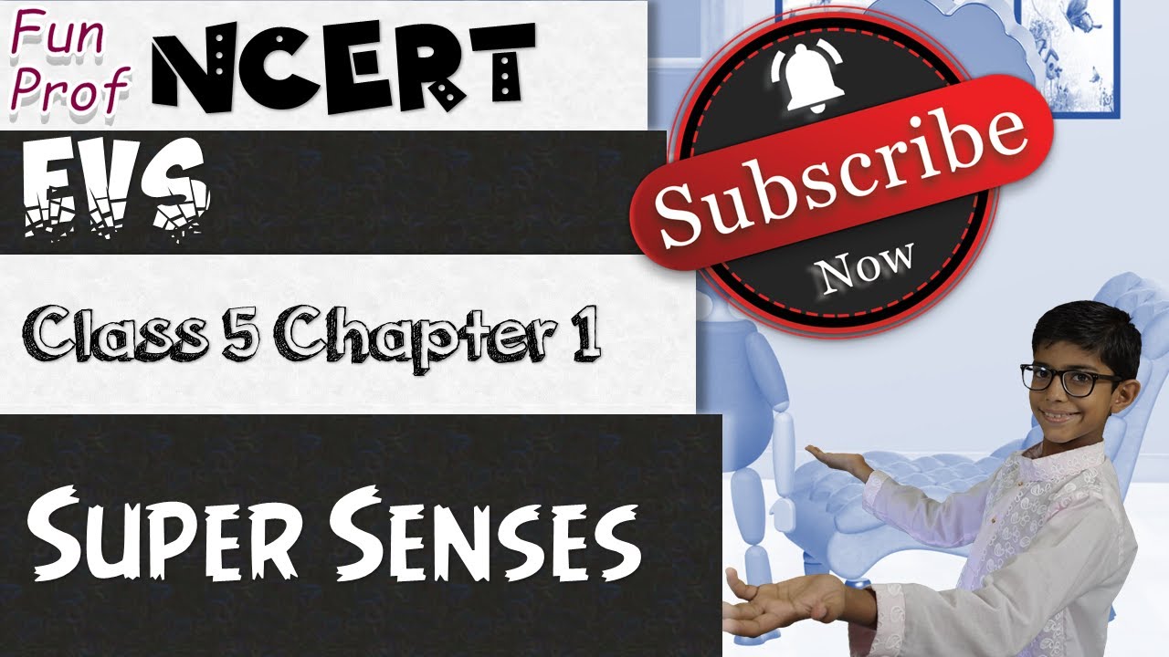 NCERT Class 5 EVS Chapter 1 Super Senses English CBSE NSO NSTSE ncert-class-5-evs-chapter-1-super-senses-english-cbse-nso-nstse
