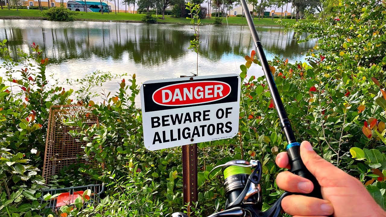 Florida Pond Fishing is DIFFERENT... - YouTube