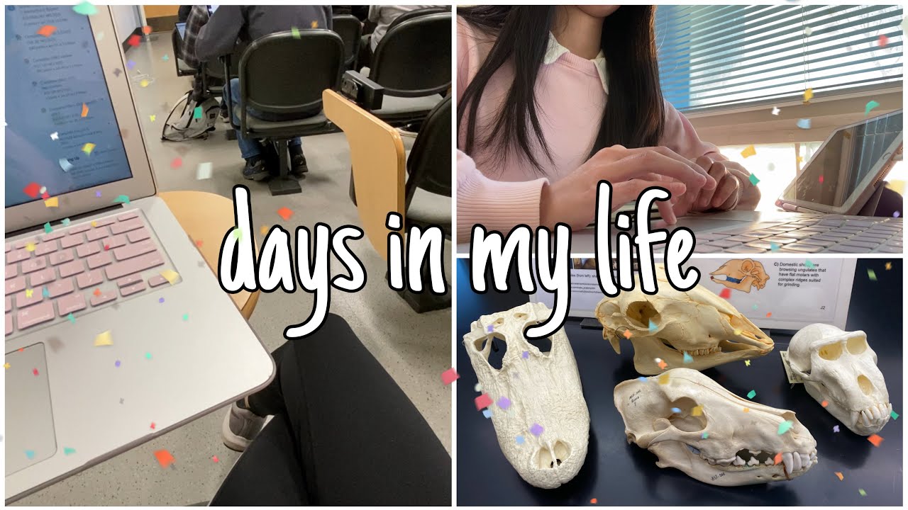 productive days in my life as a uni student 🔬endless lectures, studying ...