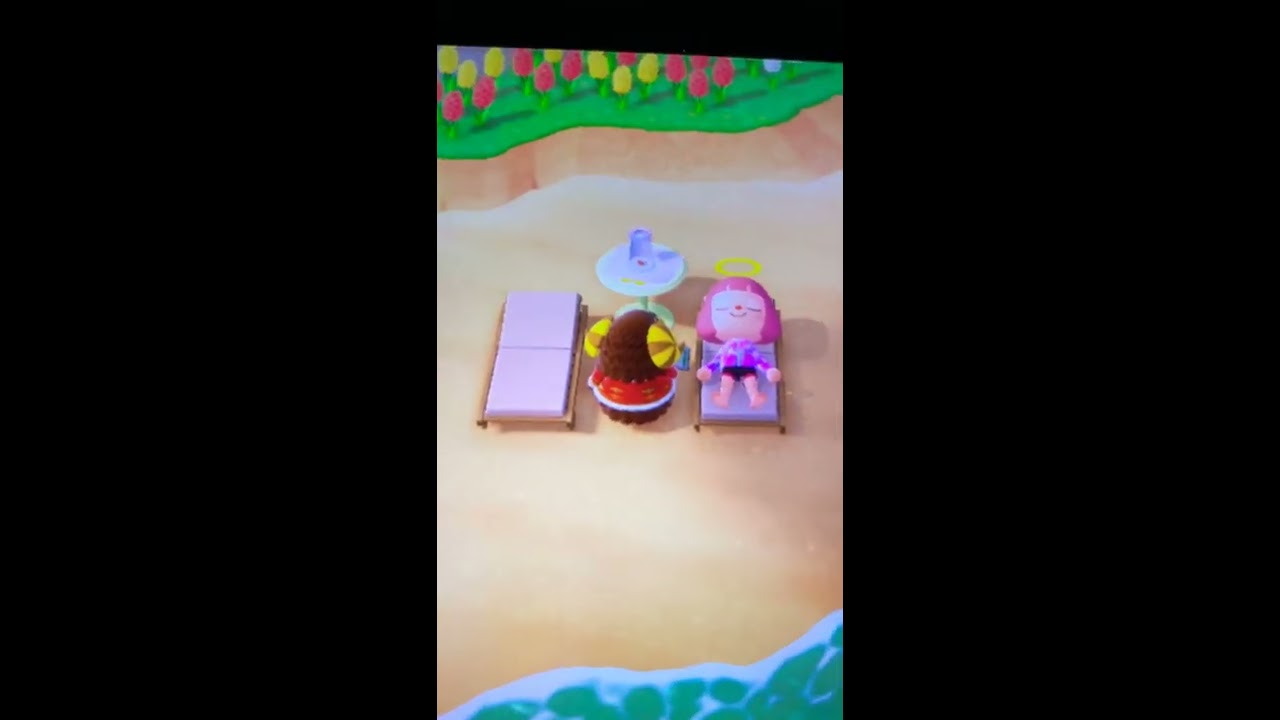 Sweet Curlos 😂 Animal Crossing New Horizon - YouTube