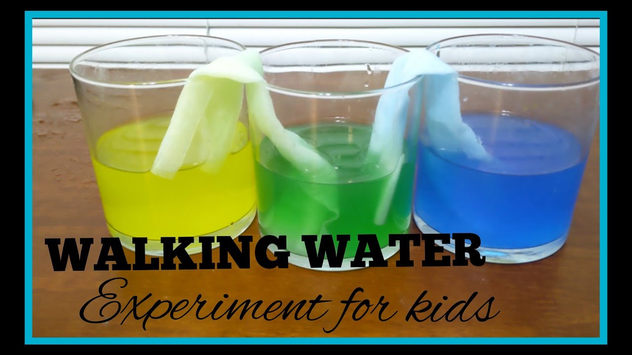 SCIENCE EXPERIMENT FOR KIDS | WALKING WATER COLOR CHANGING EXPERIMENT ...