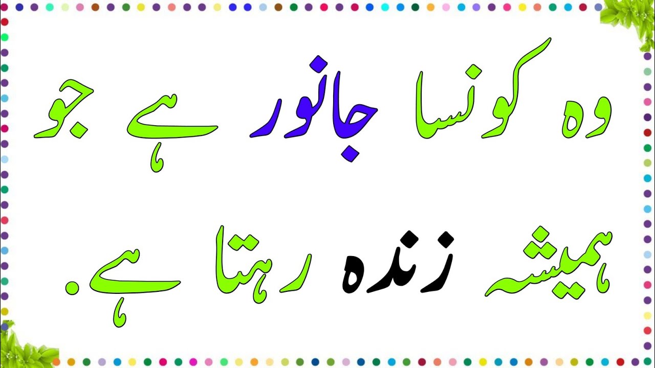 💯 difficult urdu common sense question with answers| urdu paheliyan ...