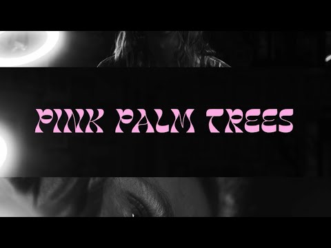 Salt Fox - PINK PALM TREES (Music Video) - YouTube