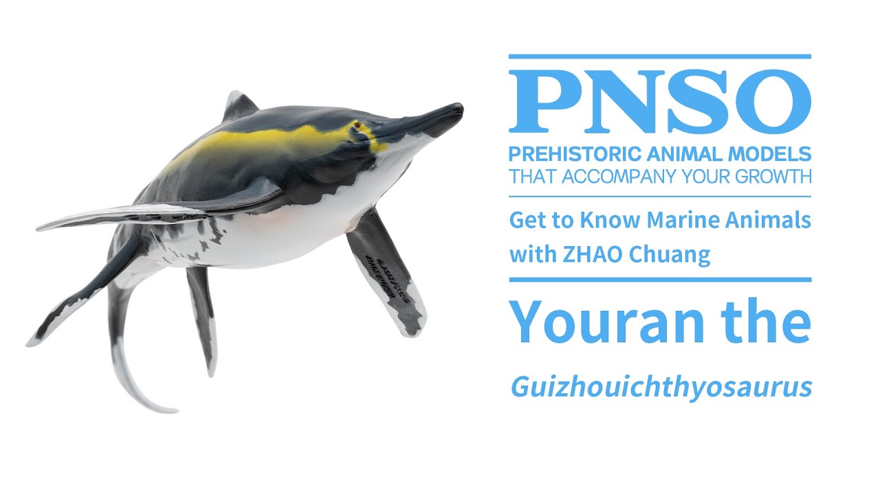 90 Youran the Guizhouichthyosaurus | The Story of Creating Youran the ...
