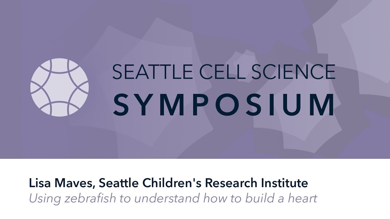 Lisa Maves | 2018 Seattle Cell Science Symposium - YouTube