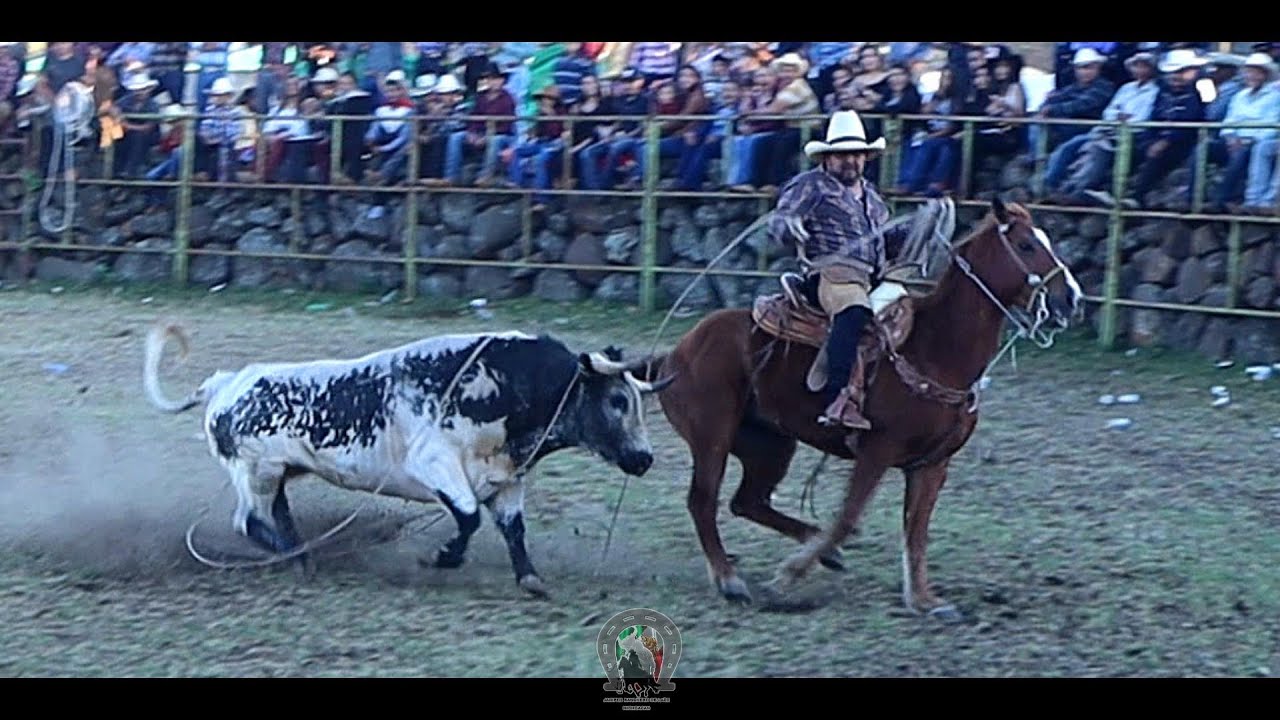 Jaripeo En San Nicolas Tumbistatiro Michoacán Rancho El Carmen y La ...