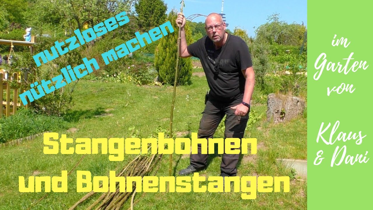 Stangenbohnen und Bohnenstangen / nutzloses im Garten nützlich machen ...