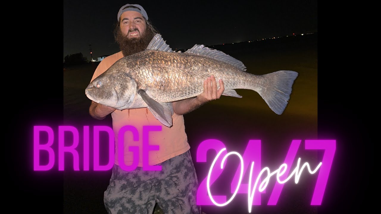 The Bridge is open 24/7 - YouTube