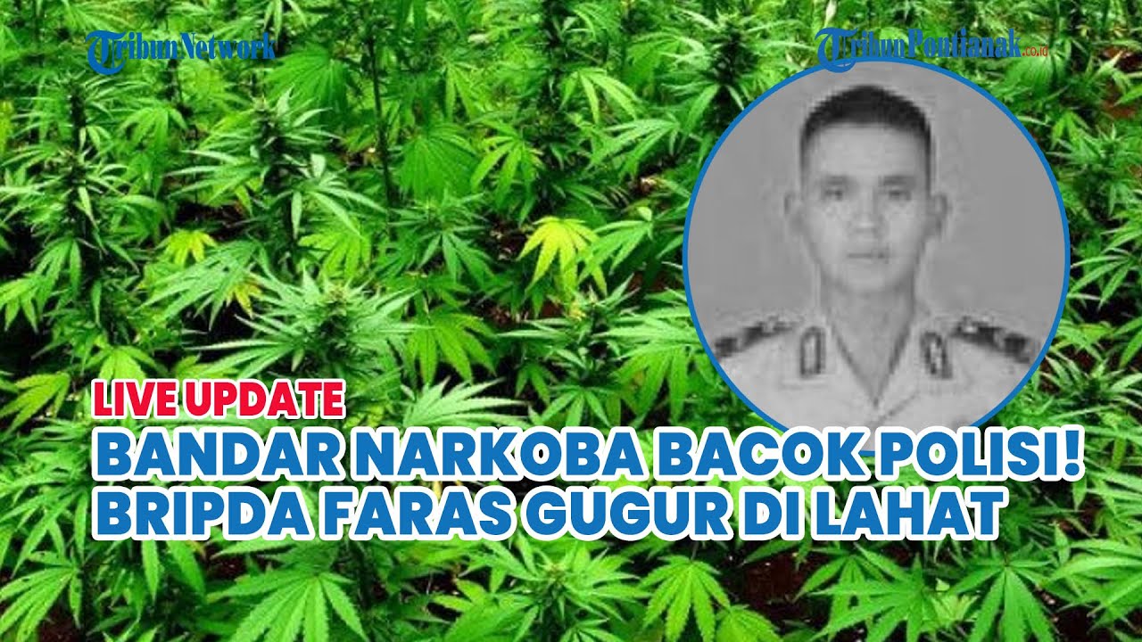 🔵 Bandar Narkoba Bacok 3 Polisi di Lahat, Bripda Faras Gugur Saat ...