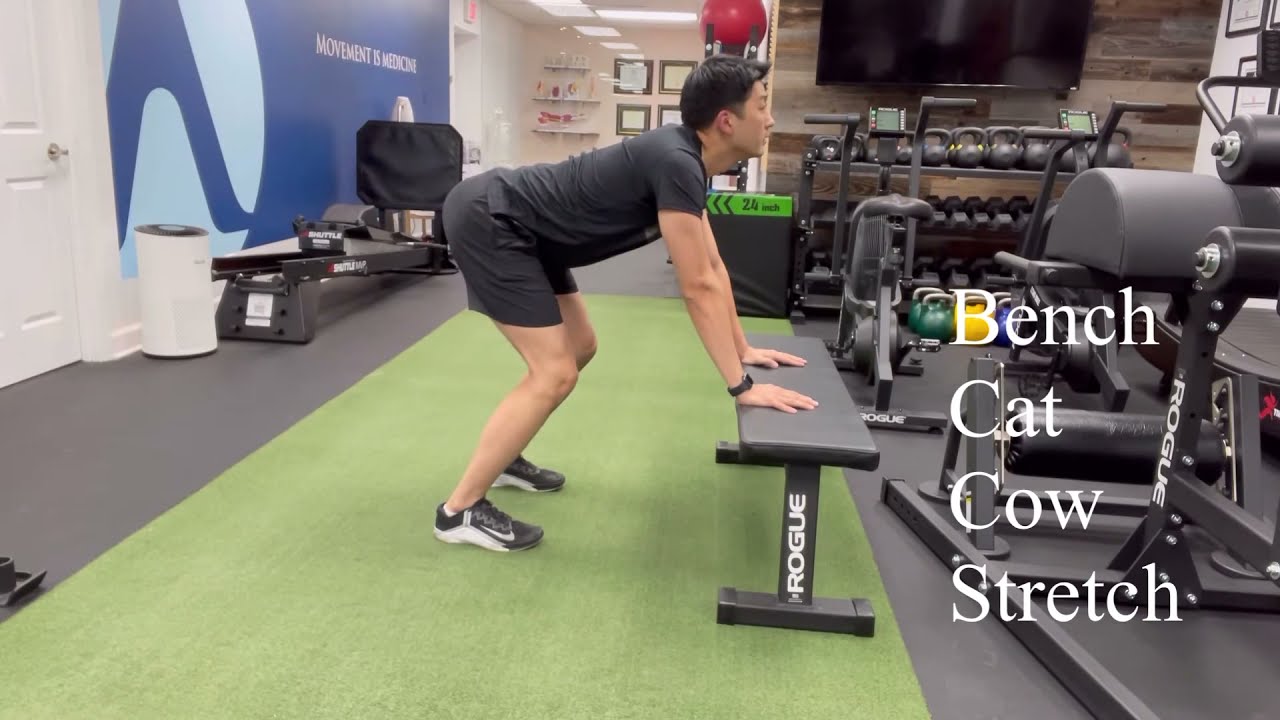Bench Cat Cow Stretch (벤치 캣 카우 스트레칭) - YouTube