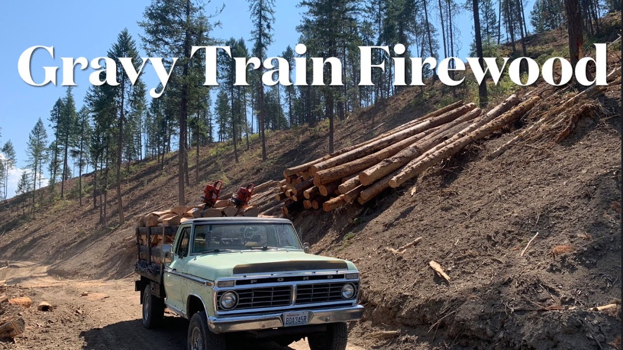 Epic Pacific North West Firewood!!! #chainsawman #firewood #ford #axe ...