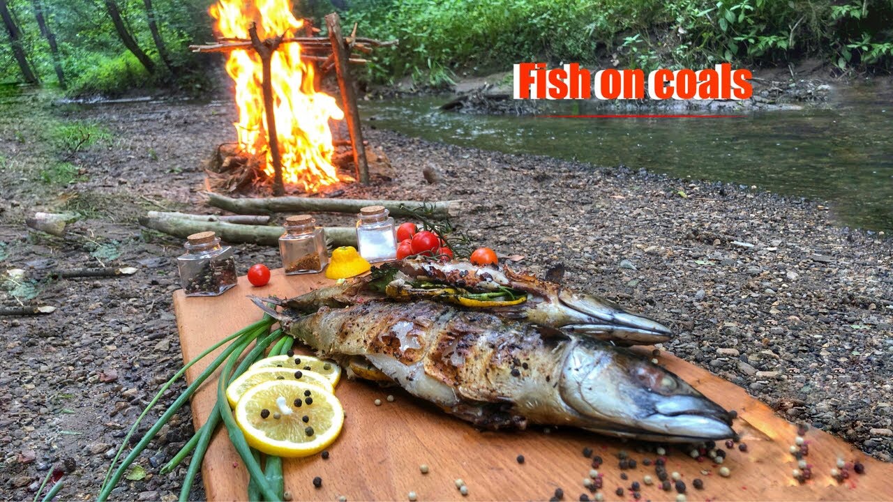 Bushcraft Forest #Fish | Recipe in Nature | Mackerel on Fire - YouTube
