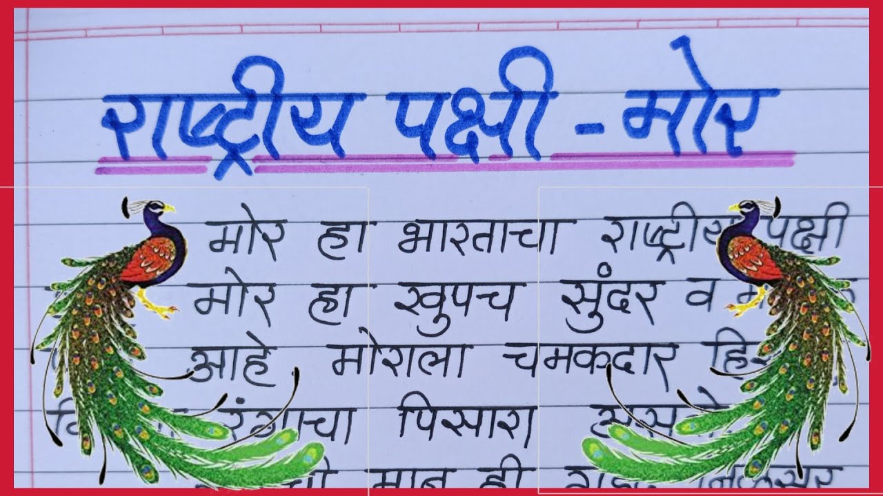 राष्ट्रीयपक्षी मोर मराठीनिबंध|Mor marathi nibandh|essay on peacock ...