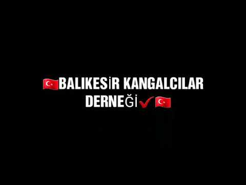 Balıkesir kangal video(slayt)