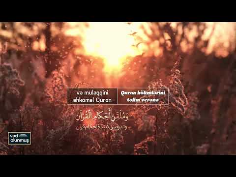 Səlamullahil Kamilut-Tammu | İmam Zamanın (ə.f.) istiğasəsi | Mahdi Najafi | vedolunmus