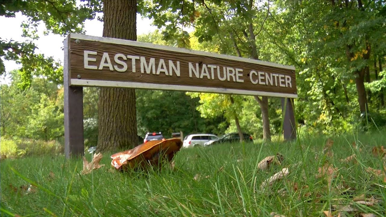 Eastman Nature Center Provides Respite from Nearby Development - YouTube