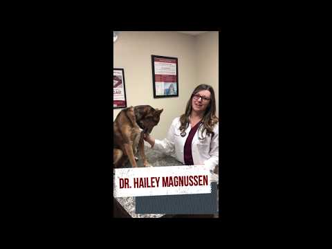 Meet Dr. Hailey Magnussen!