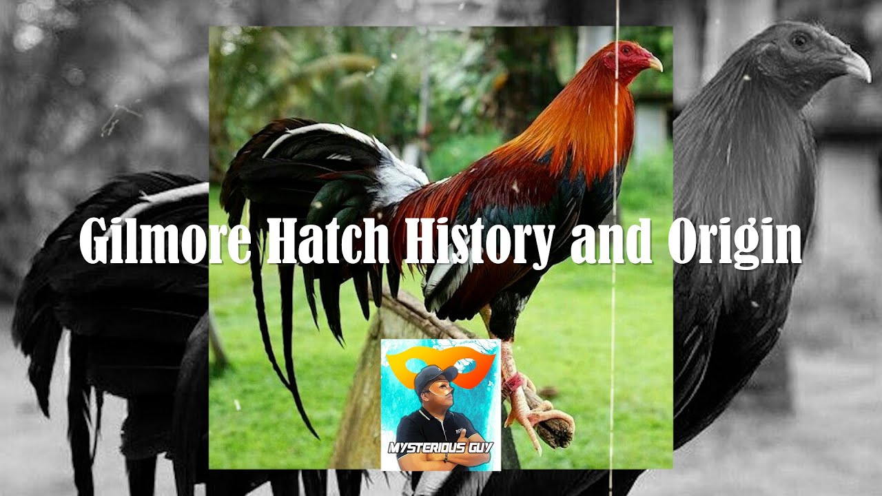 Gilmore Hatch History and Origin - YouTube