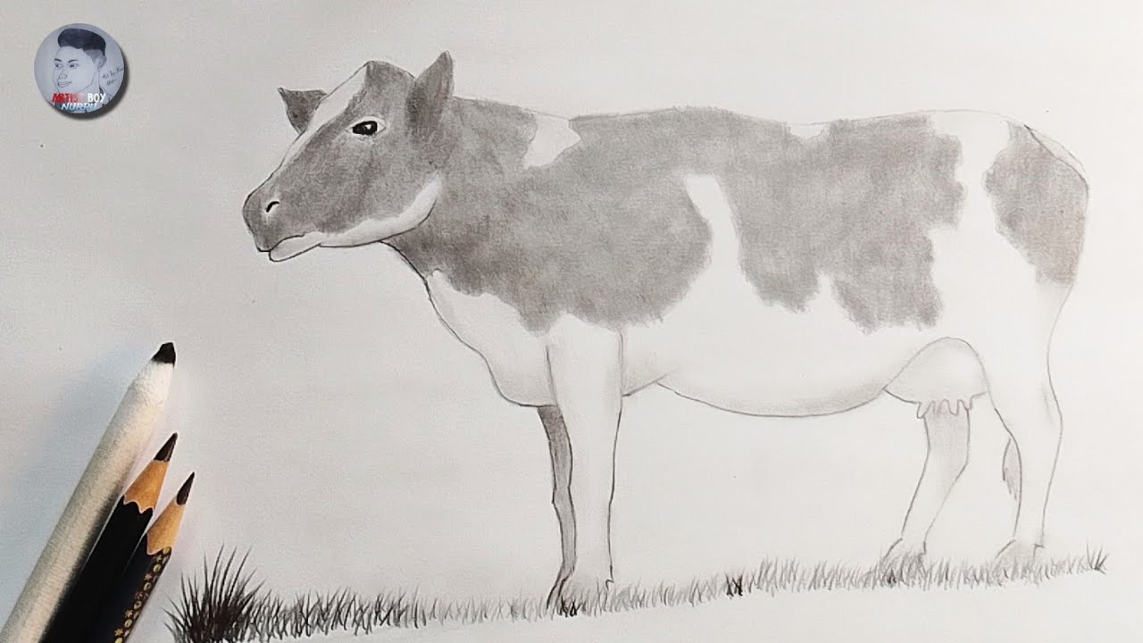 How To Draw A Realistic Cow Step By Step Drawing Tutorial For how-to-draw-a-realistic-cow-step-by-step-drawing-tutorial-for