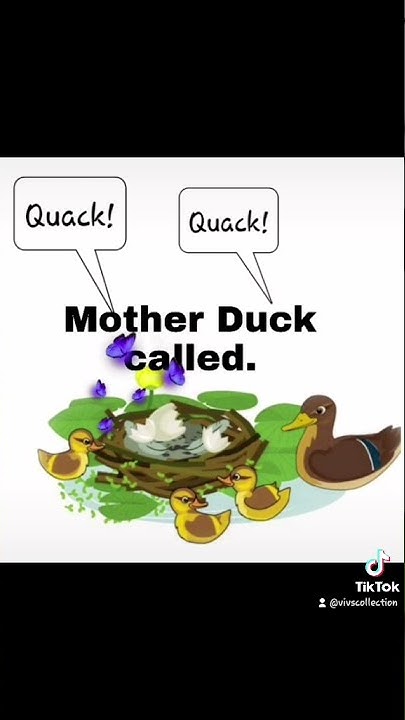 Quack Quack Ducky and her Ducklings - YouTube