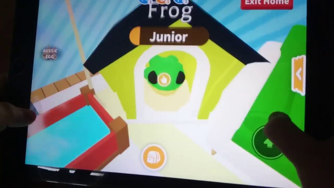 How to make a frog cage! (ADOPT ME) READ DESC - YouTube