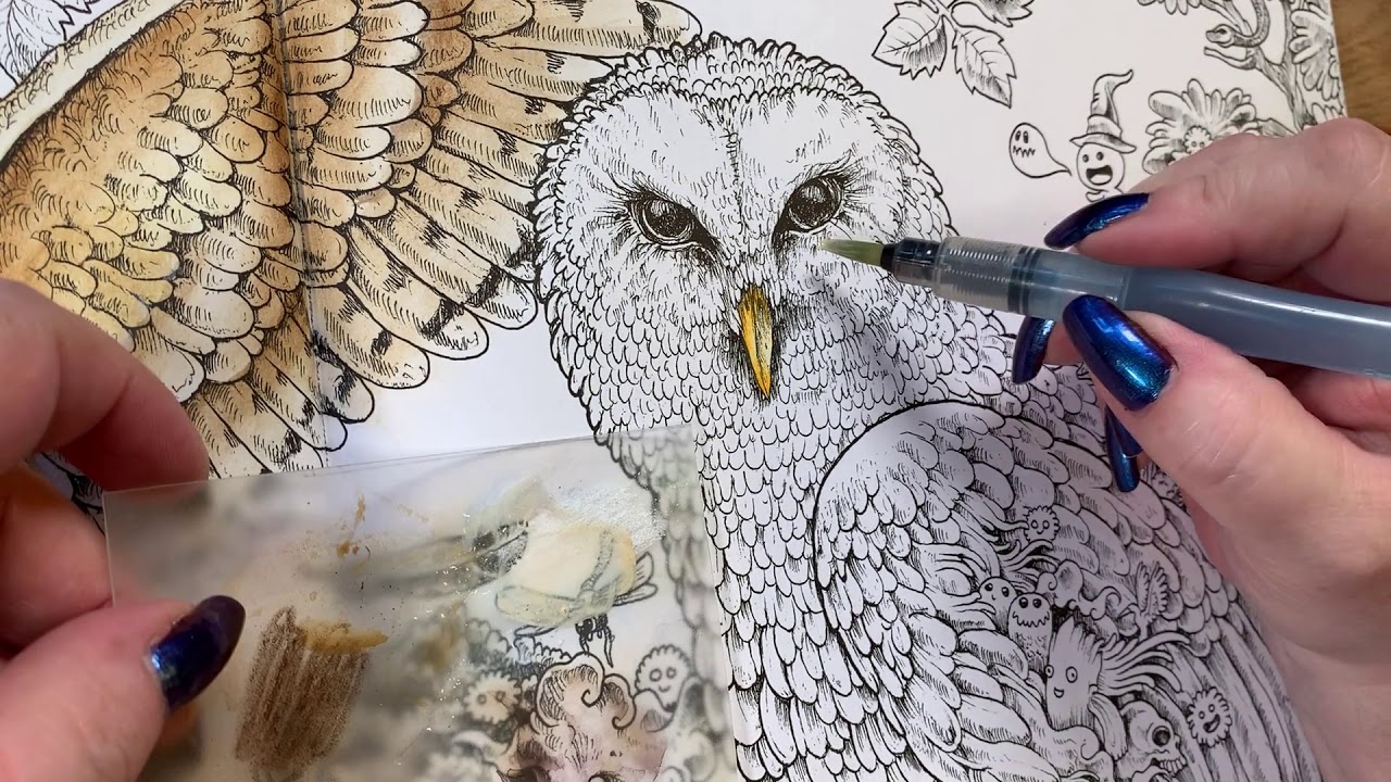 Animorphia Owls part 2 of 3 - YouTube