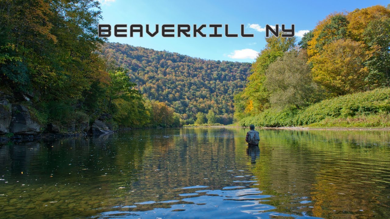 Dry Fly Action On The Best River In The US Beaverkill NY - YouTube