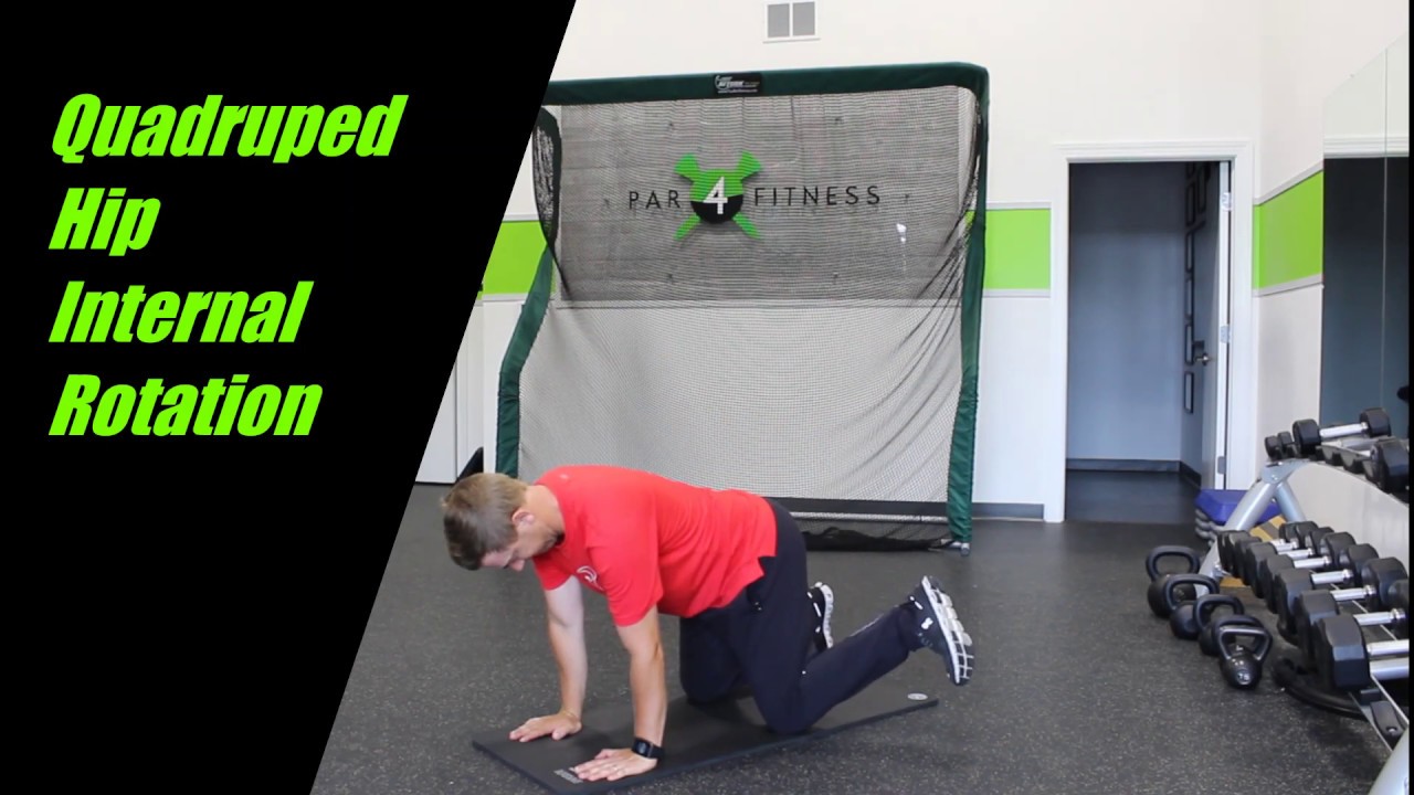 Quadruped Hip Internal Rotation - YouTube