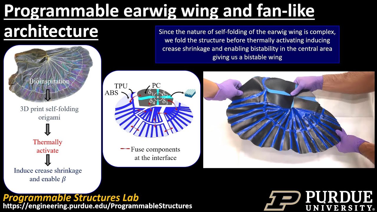 Multistable Bioinspired Origami with Reprogrammable Self-Folding - YouTube