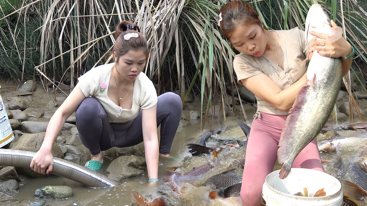 Top Video Greatest Fishing - Fishing Techniques, Fishing Exciting ...