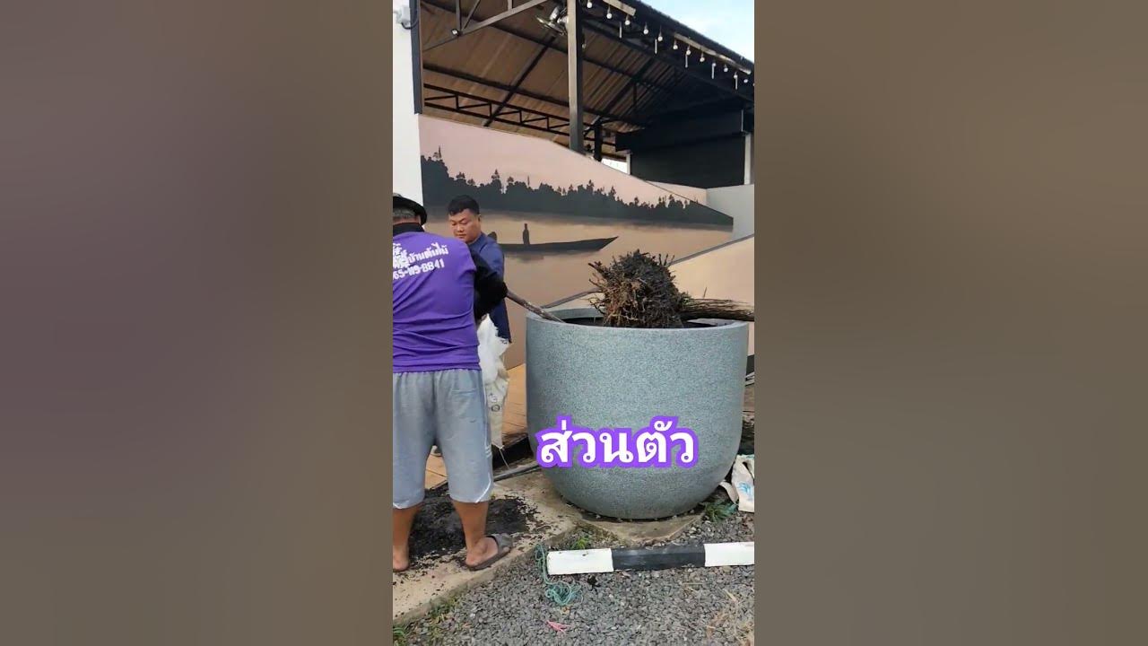 ส่วนตัว สายรุ้งอาข่า คลายเครียด ลิปซิงค์ สาวดอย ตลกขำๆ สวยขยี้ใจ