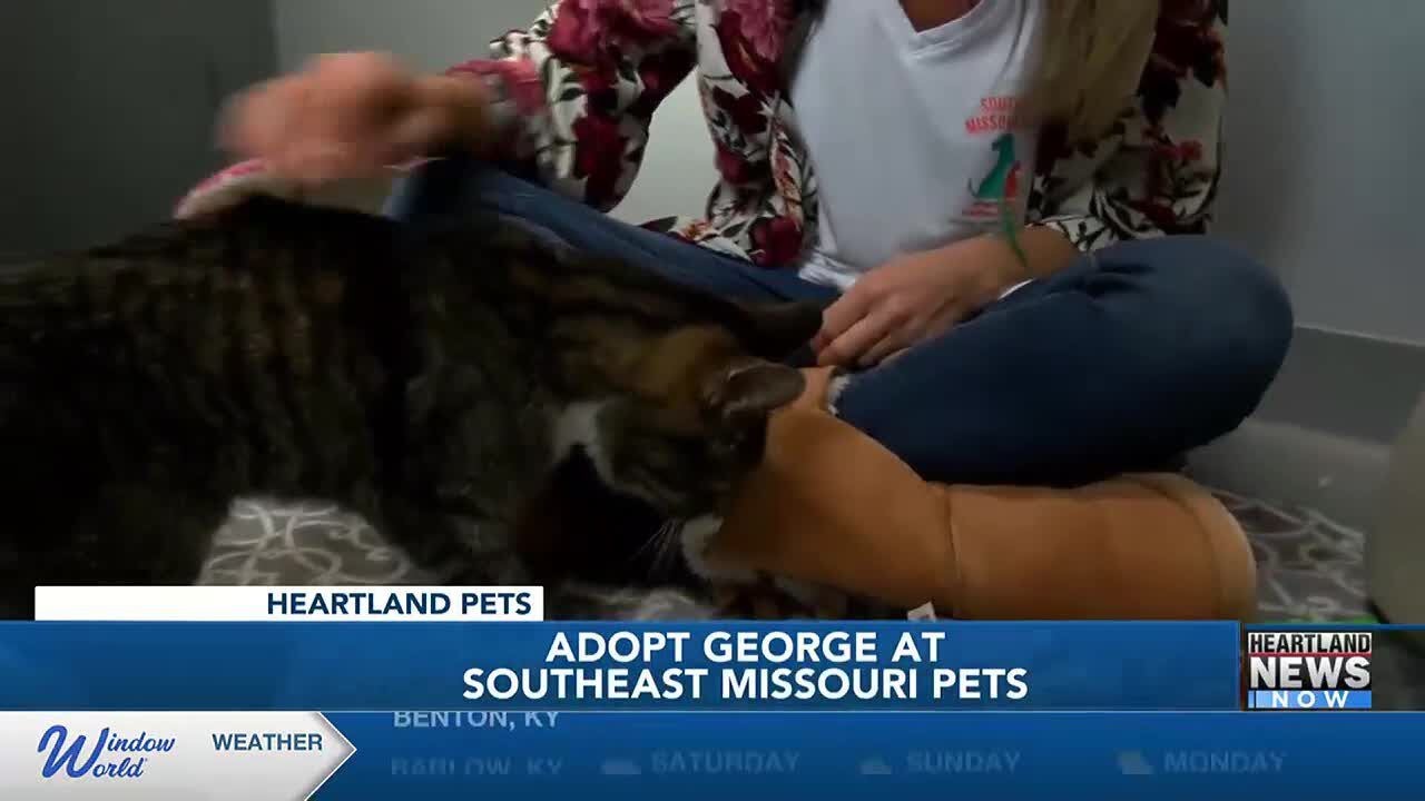 Heartland Pets feat. George 1/5 - YouTube