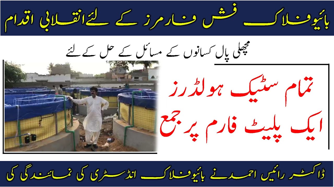 Biofloc fish farming in Pakistan|How to start biofloc fish business|All ...