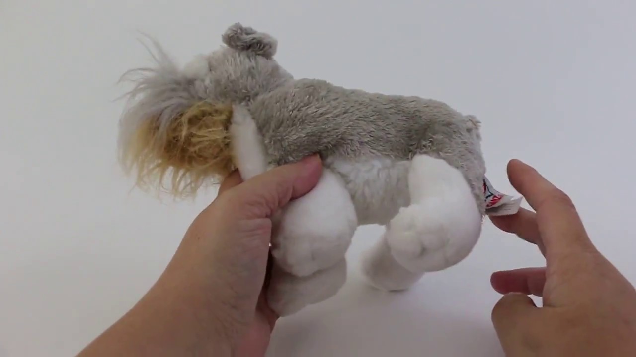 Review of Webkinz Schnauzer - YouTube