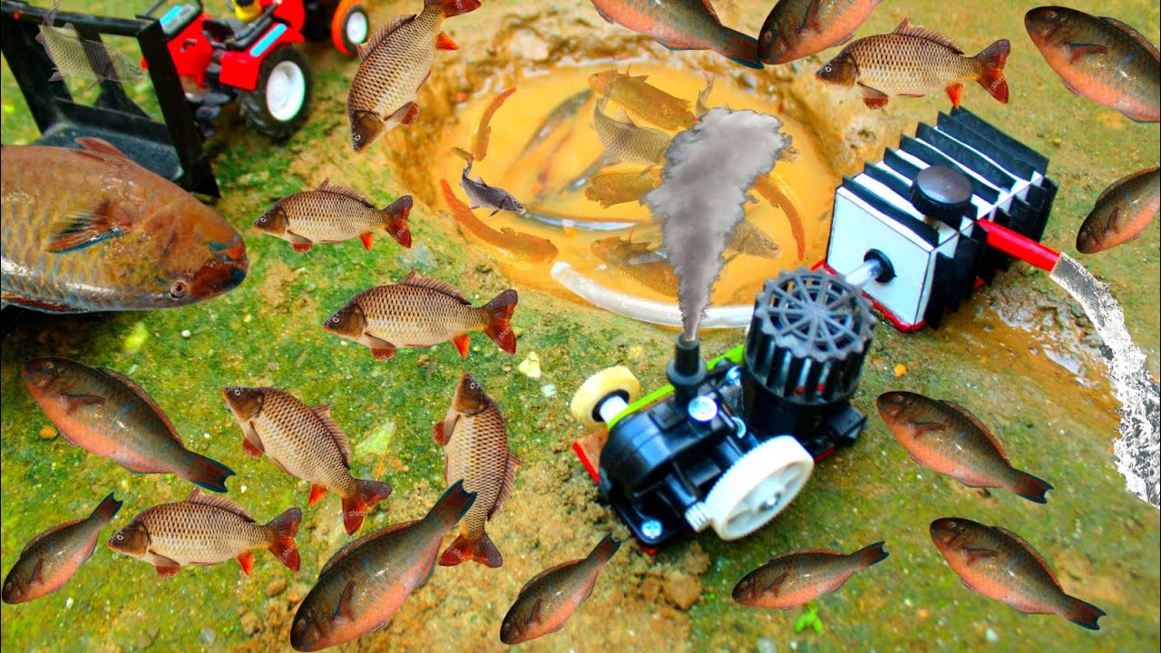 Catch fish using mini water pump | fishing exciting | diy tractor ...