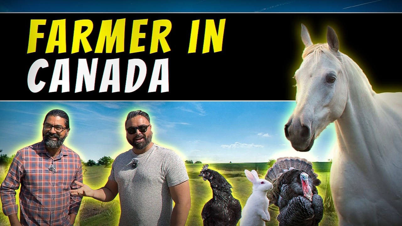 Living On The Farm In CANADA - YouTube