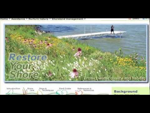 How to Restore Your Shore with Native Plants