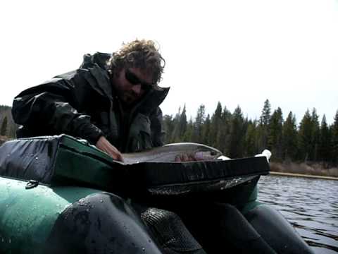 Nice pennask rainbow fish in ASL - YouTube