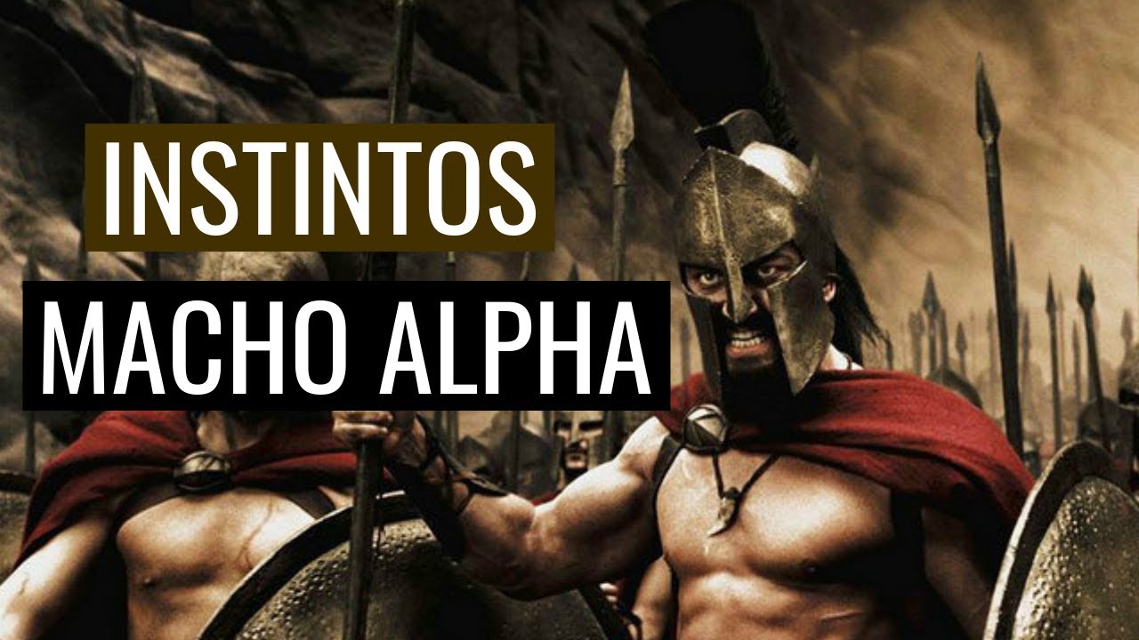 MACHO ALPHA É ISSO AQUI! - YouTube