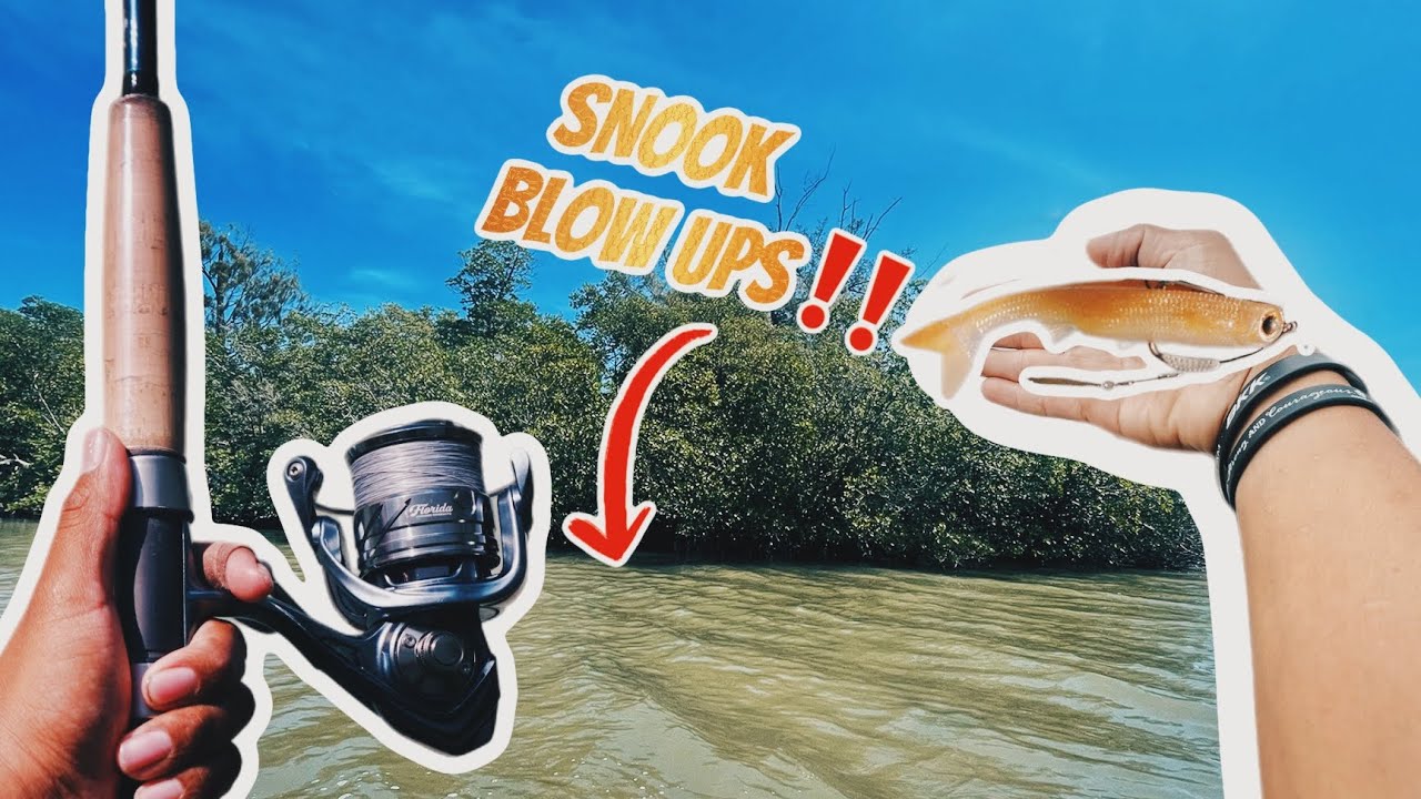 SNOOK FISHING WITH NLBN K-TAIL! - YouTube
