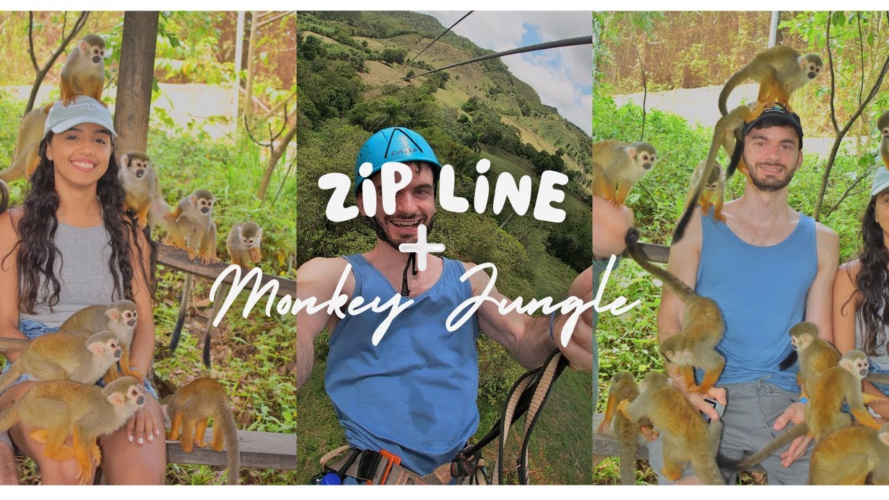 ZIP LINE + MONKEY JUNGLE summer 22' | Relación a distancia ♥ - YouTube