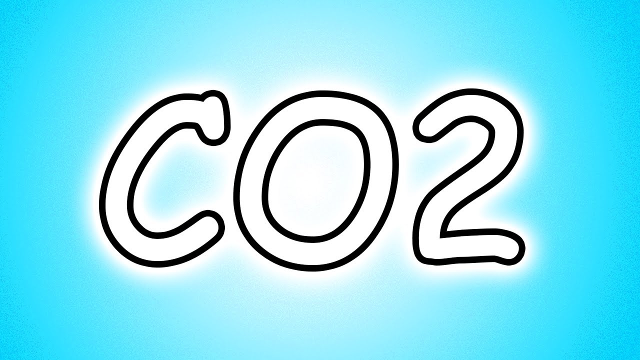 If I convert Oxygen to Carbon Dioxide, the video ends - Real Life - YouTube